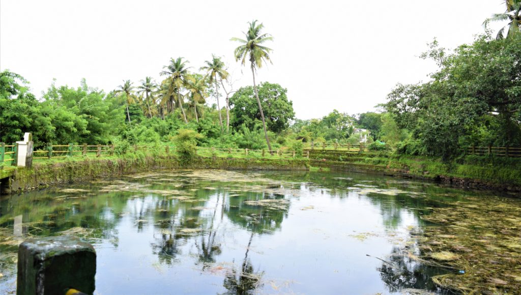 Raia: The Village That Reflects Goa’s True Essence